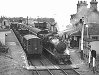 GWR articles - Steve Banks